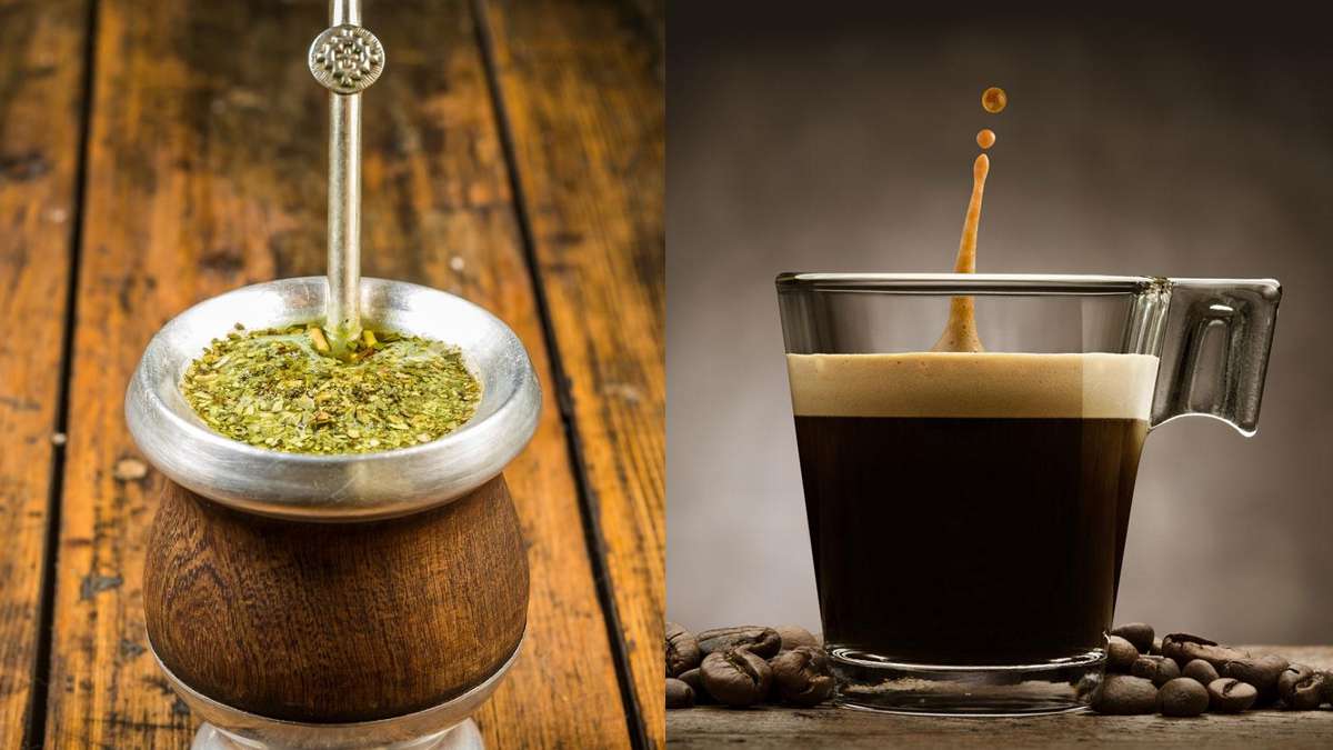 Mate o café ¿qué es mejor? - WomanTime Nutrición