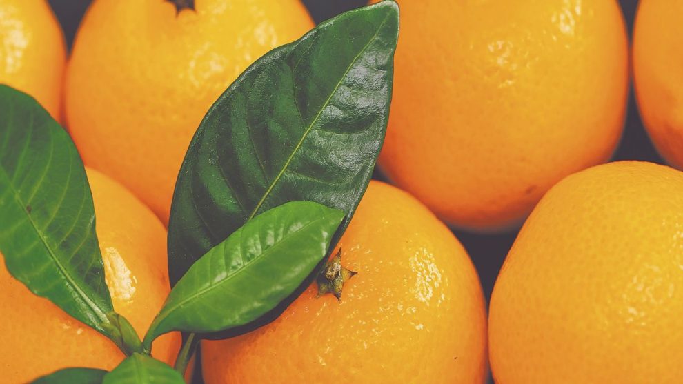 ¡No la tires! Conocé estos tips para reutilizar la cáscara de mandarina ...